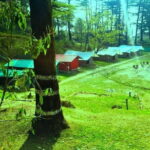 Adventure camping at Mussoorie - 1n2d - The Itinerary Breakdown: What to Expect