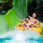 Adventure Cove Waterpark + 1 Way Transfer - What’s Inside the Park: Rides, Marine Encounters, and Relaxation