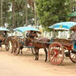 Adventure Day Trip to Bago - Who Is This Tour Best For?