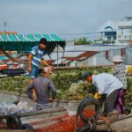 Adventure in Mekong Delta 2 days 1 night - Transportation, Accommodation, and Guides
