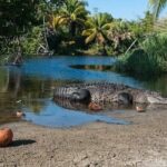 Adventure on the Emerald Coast Ventanilla, Mazunte, Puerto Ángel - What Travelers Say & Practical Tips