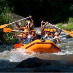 Adventure Rafting Journey With Us! And Ubud Tours - The Sum Up: Who Will Love This Tour?