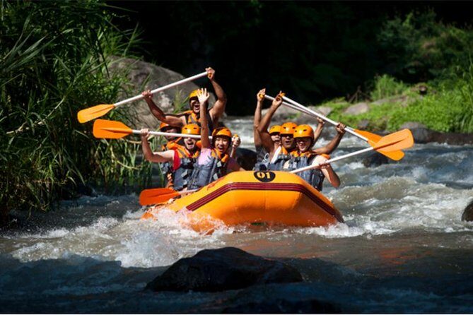 Adventure Rafting Journey With Us! And Ubud Tours - The Sum Up: Who Will Love This Tour?