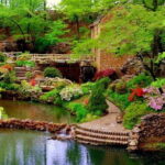 Adventures of the Last Kingdom of Sri Lanka - Authentic Experiences and Travel Tips