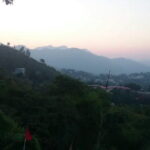 Affordable Dehradun Airport Transfer. - Detailed Breakdown of the Experience