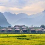 Afternoon Limousine Transfer Mai Chau to Hanoi 5 hours from Mai Chau - A Practical Look at the Experience