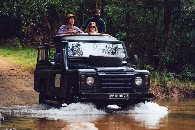 Afternoon Safari to Gal Oya National Park - Introduction: What Makes This Safari Stand Out?