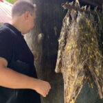 Afternoon Silk Island, Escape Phnom Penh & Temple by Tuk Tuk - Transportation and Practical Details