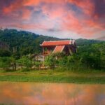 Afternoon tour to Original Bamboo train. Bat cave. Killing cave - The Value of This Tour