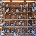 Agra Heritage & Cultural Walk - What’s Included and What’s Not