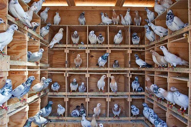 Agra Heritage & Cultural Walk - What’s Included and What’s Not