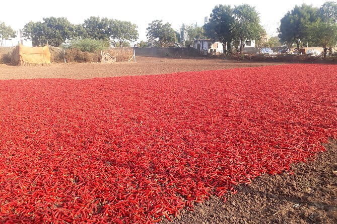 Agra To Bharatpur Same Day Tour with Fatehpur Sikri - Practical Considerations