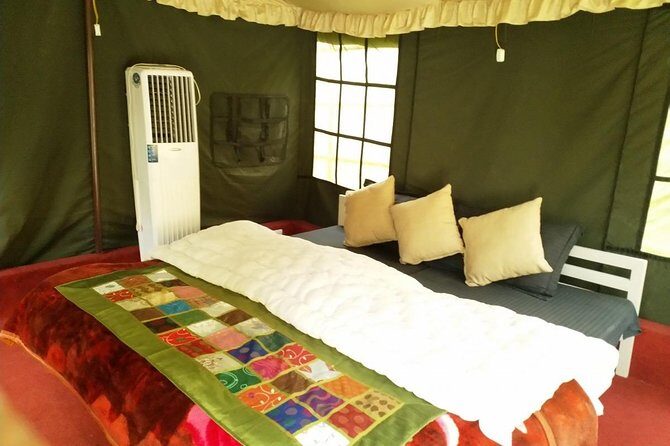 Air-cooled camp and rafting in Rishikesh (2n3d) - Daily Itinerary Breakdown