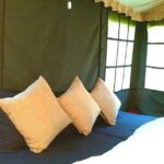 Air-cooled camping in Rishikesh (1n2d) - An Honest Look at the Experience