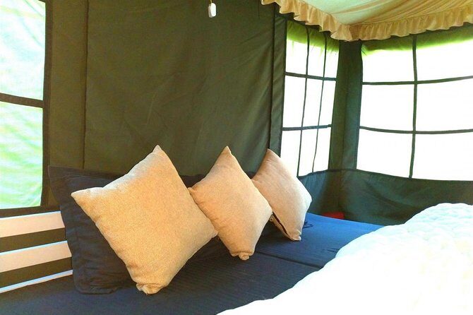 Air-cooled camping in Rishikesh (1n2d) - An Honest Look at the Experience