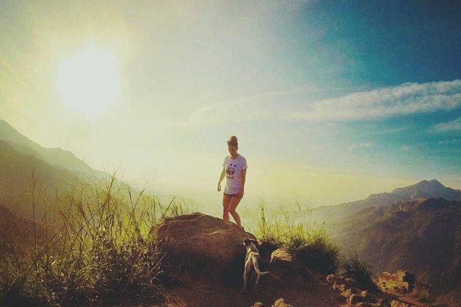 Airport (CMB) to Ella Hotels Transfers-(Arrival) - Who Should Book This Transfer?