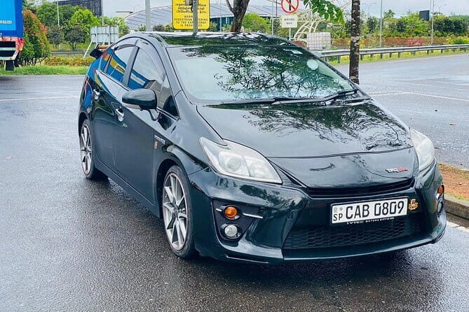 Airport Taxi Transfers from Colombo Airport to Wilpattu - The Experience: What to Expect from Your Transfer