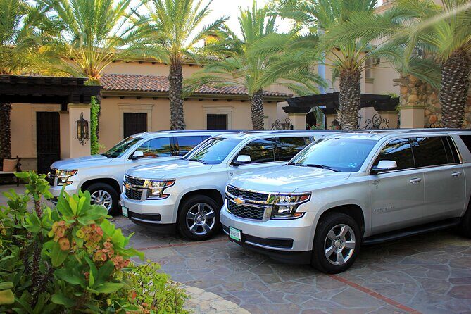 Airport Transportation One Way to Hotel in Cabo San Lucas - Pricing and Value