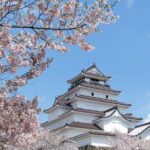 Aizu 6hr Private Tour with Government-Licensed Guide - How the Tour Works: Practical Details
