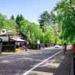 Akita Private Customizable Full Day Tour - What You Can Expect from the Itinerary