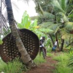 Alappuzha Backwaters & Beaches Bike Tour - What You Can Expect From the Experience