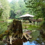 Alishan Join In Day Tour from Taichung (Incl. Park Entrance) - Why You’ll Love This Tour