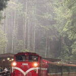 Alishan One Day Tour from Taichung - A Closer Look at the Itinerary