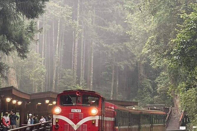 Alishan One Day Tour from Taichung - A Closer Look at the Itinerary