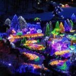 All Day Private Make your own plan tour to Nami Island and others - In-Depth Breakdown of the Itinerary