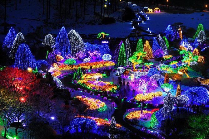 All Day Private Make your own plan tour to Nami Island and others - In-Depth Breakdown of the Itinerary