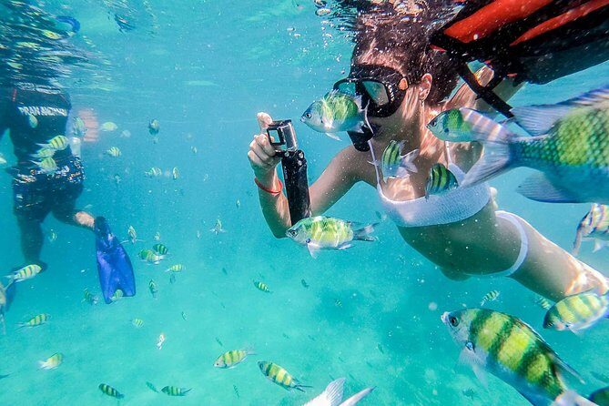 All-in Phi Phi, Maiton, MayaBay, Khai, Bamboo islands Tour - Monkey Beach and Maya Bay: The Iconic Highlights