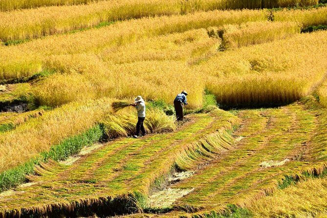 All Inclusive 5 Nights Bhutan Tour Package - Exploring Punakha: The Old Capital and Fertility Temple