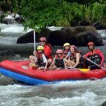All inclusive : Ayung River White Water Rafting Lunch and Private Transport - The Itinerary: What You Can Expect