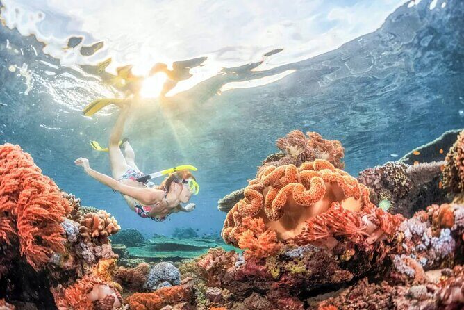 All inclusive: Blue lagoon Snorkeling & the Bats cave temple - What Makes This Tour Stand Out?