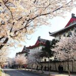 All Inclusive Nanjing City Private Day Tour with Tailor-Made Highlights - An in-depth look at the Nanjing experience