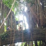 All inclusive of Ubud Culture,Village and Temples - Who Will Love This Tour?