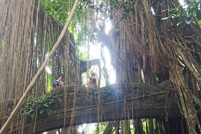 All inclusive of Ubud Culture,Village and Temples - Who Will Love This Tour?