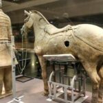 All Inclusive Private 2-Day Tour of Xi'an City Highlights with Accommodation - Why This Tour Is Worth Considering