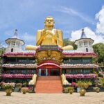 All Inclusive Sigiriya & Dambulla Day Tour from Colombo & Negombo - What Youll Experience on This Tour