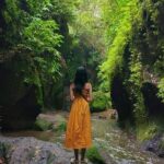 All inclusive Ubud private tour - The First Stop: Tegenungan Waterfall
