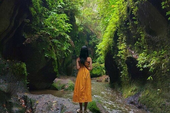 All inclusive Ubud private tour - The First Stop: Tegenungan Waterfall