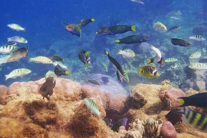 All Inclusive:Bali to Gili Islands | Snorkeling + Transfers + Stay-3Days/2Nights - Who Will Enjoy This Tour?