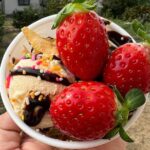 All You Can Eat Strawberry Picking in Izumisano Osaka - Who Should Consider This Tour?