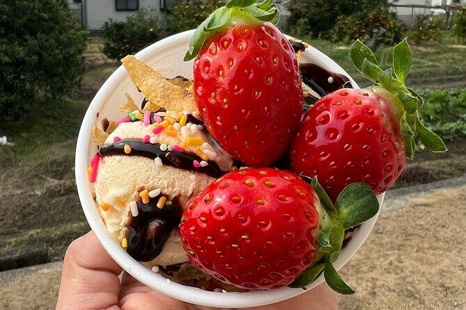 All You Can Eat Strawberry Picking in Izumisano Osaka - Who Should Consider This Tour?