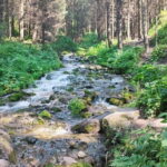 Almaty in a Day: Mountains and City Highlights - Pricing: Evaluating Value