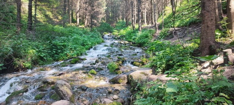 Almaty in a Day: Mountains and City Highlights - Pricing: Evaluating Value