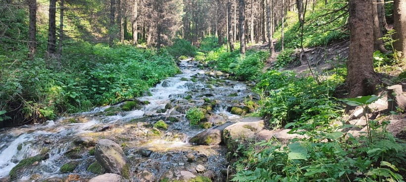 Almaty in a Day: Mountains and City Highlights - Pricing: Evaluating Value