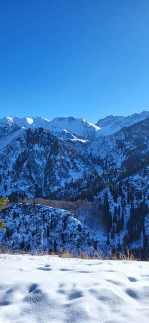 Almaty: Kim Asar Mountains and Waterfall Hiking Tour - What the Tour Provides and What You Need to Know