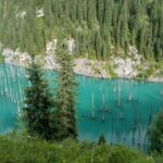 Almaty Region 5 Days Private Tour from Almaty - Who Should Consider This Tour?