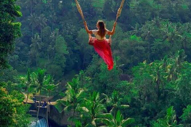 Aloha Swing : Exhilarating The Best Swing Experience in Ubud - The Itinerary in Detail